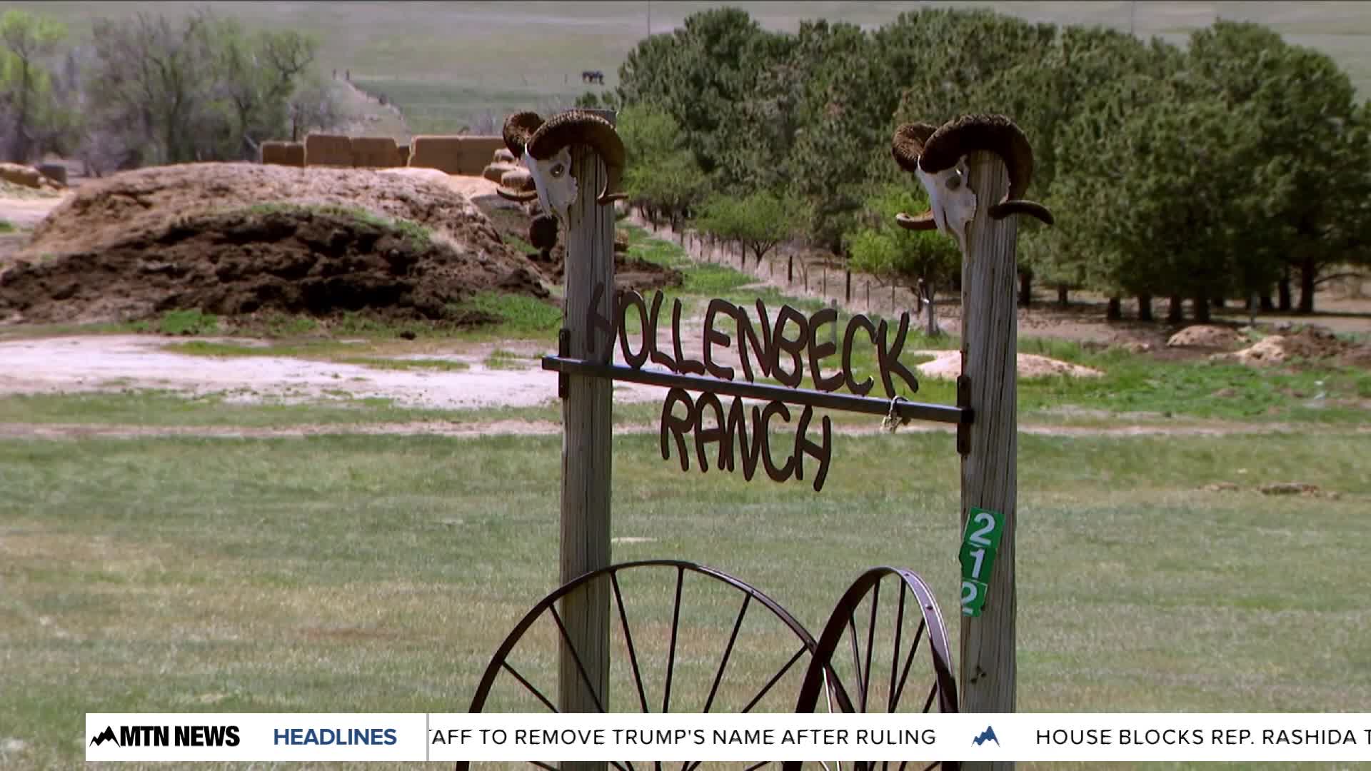 Planning board recommends against proposed sheep lot in Molt