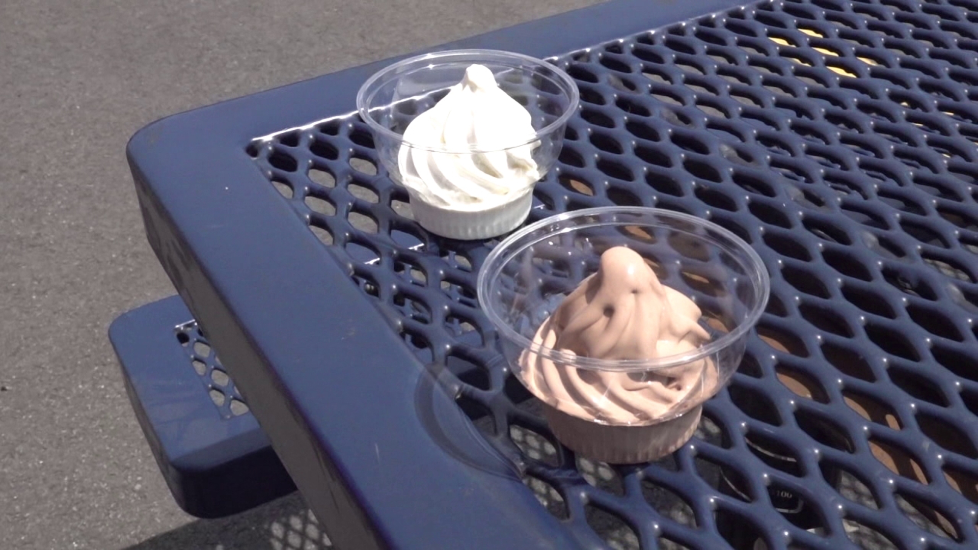 Testing a sweet experiment at the Heritage Fair