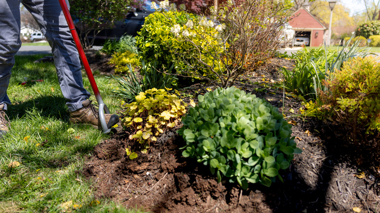 Not brick, not pavers: The garden edging alternative that'll add a ...