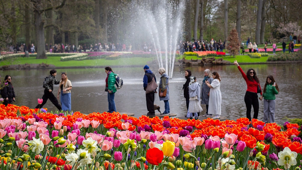 14 breathtaking flower destinations around the world