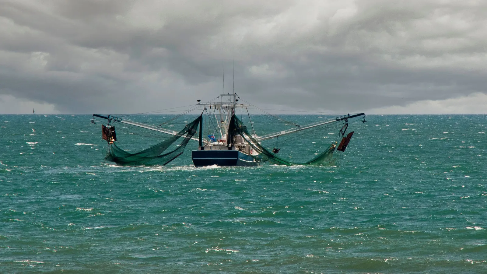 Scientists are studying how unusual ocean temperatures may affect ...