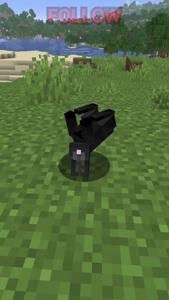 Rabbits are bugged… on bedrock #minecraft #minecraftjava #minecraftbe...