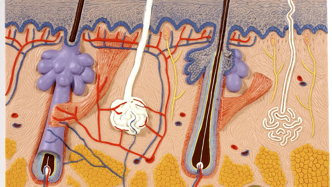 Daily habits that weaken your skin barrier