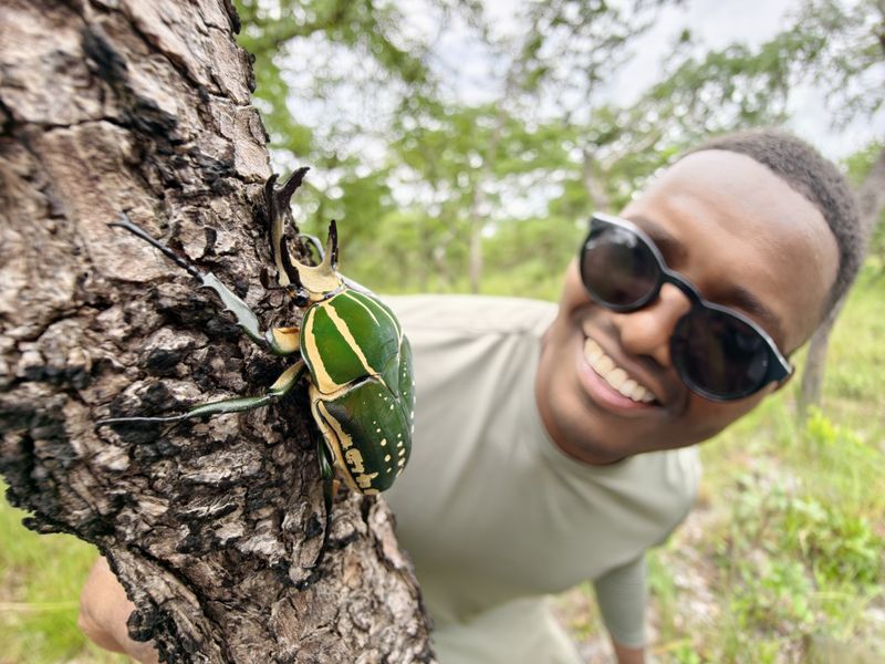 Dozens of new species found in one of Africa’s last biodiversity blank ...