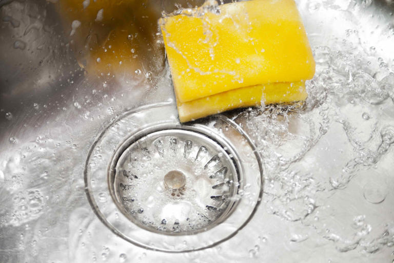 Most people sanitize kitchen sponges the wrong way, according to food ...