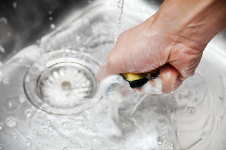 Most people sanitize kitchen sponges the wrong way, according to food ...