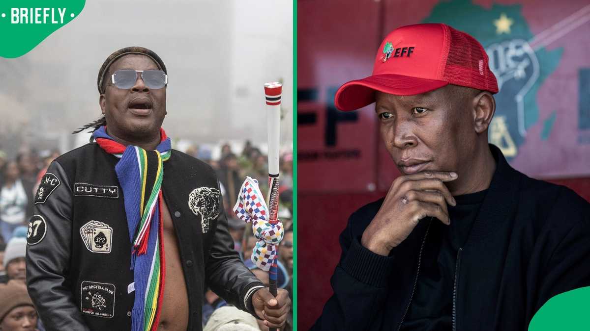 Ngizwe Mchunu apologises to Julius Malema, retracts defamatory remarks ...