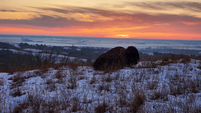Between Sioux Falls and Omaha is Iowa's largest remaining prairie with ...