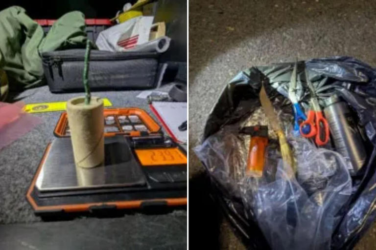 Chilling six-word text Sacramento airport ‘bomber’ had on his cell when ...