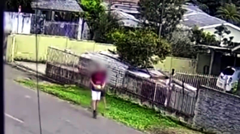 Vídeo mostra criança sendo atacada por nove cães no Paraná; dono vê e ...