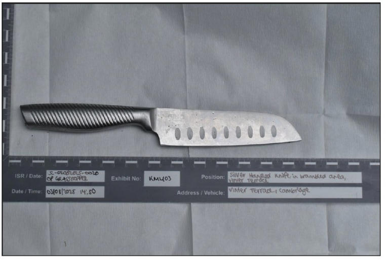 Builder who stabbed student in the neck and then claimed self-defence ...
