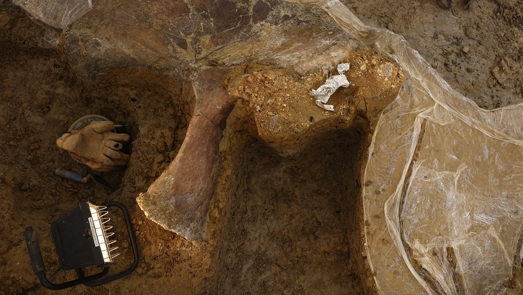 New discoveries transform dinosaur science