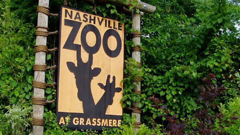 Nashville Zoo challenges DC BLOX’s claims about controversial data ...