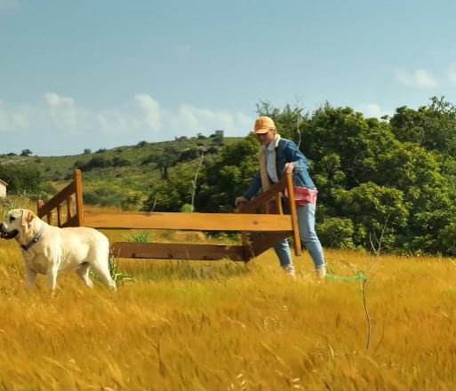 Farm living, upgraded: Cool DIYs for your animal crew