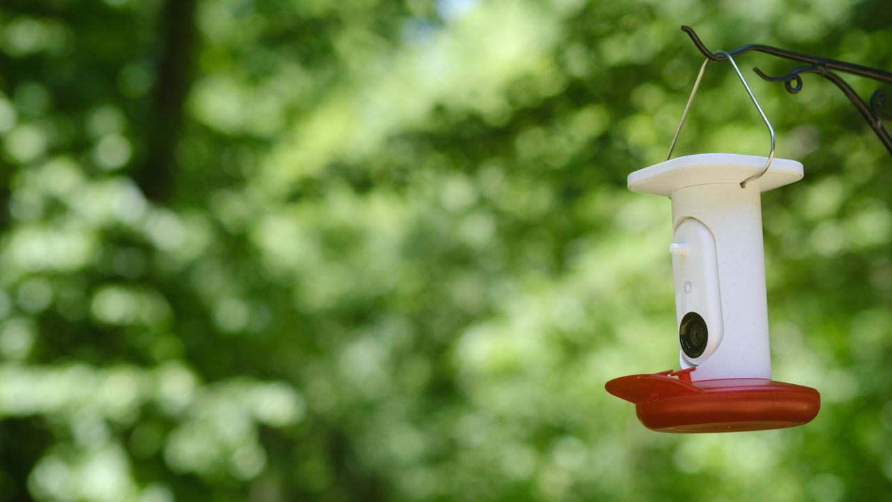 This clever camera allowed me to watch my hummingbirds even on vacation