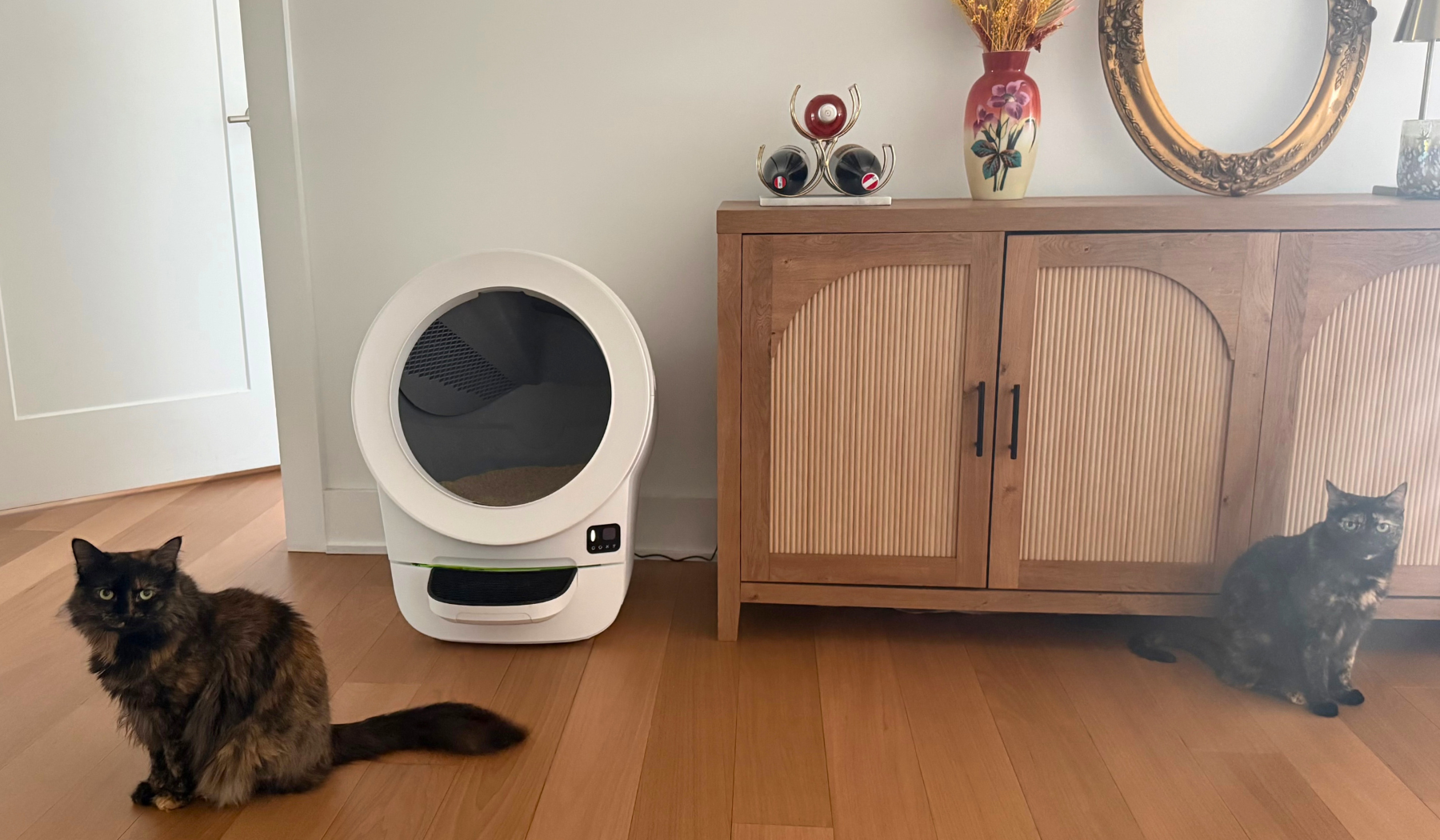 Litter-Robot EVO review: The cheapest Litter-Robot is pretty great for ...