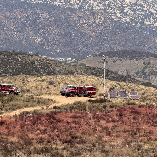 Cal Fire: Border 6 fire holds at 2,617 acres, now 50% contained