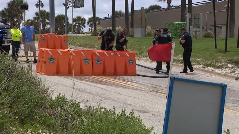 Deanna Harrell: Woman accused in deadly beach toll booth crash held ...
