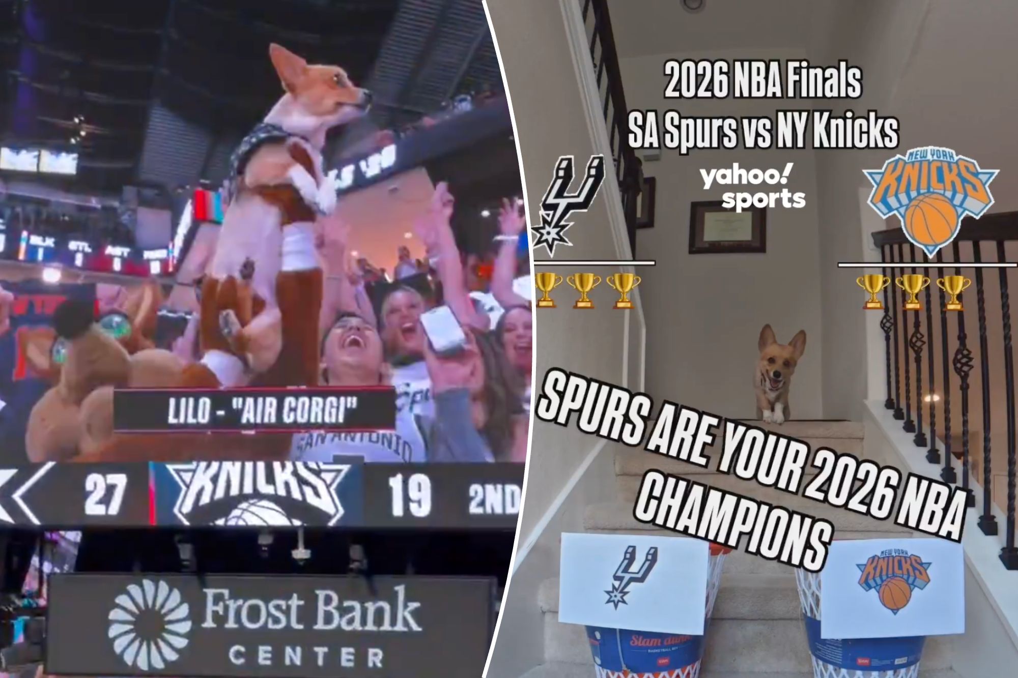 Air Corgi’s NBA Finals Game 1 appearance backfires on Spurs fans