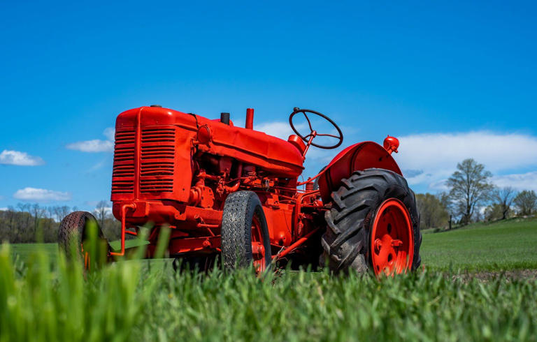 Jason Momoa’s unexpected gift to Adria Arjona leaves fans stunned — and ...