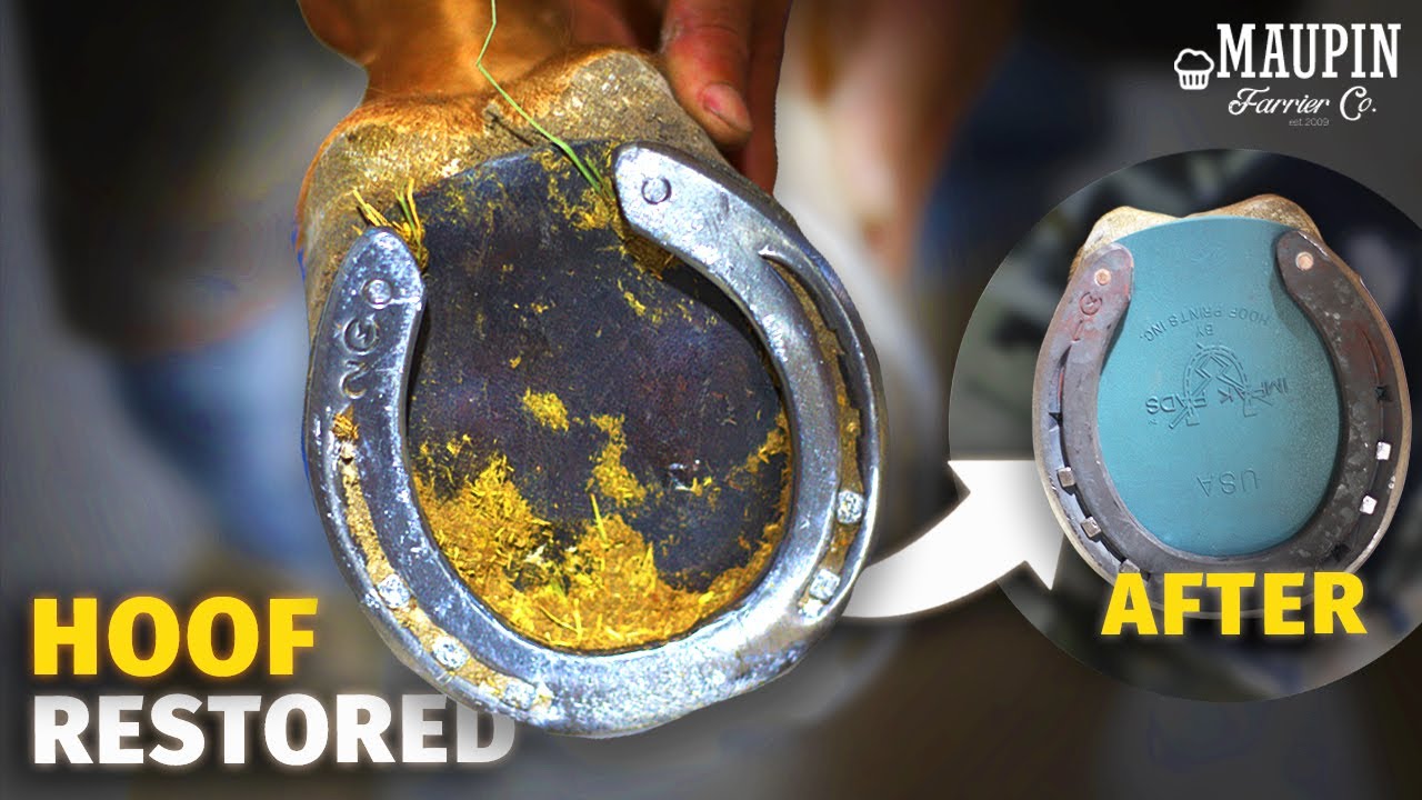 Satisfying hoof makeover you need to see