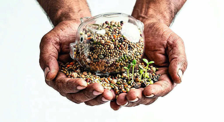 Seed saviours aim to conserve native crop varieties