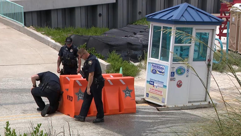 Deanna Harrell: Woman accused in deadly beach toll booth crash held ...