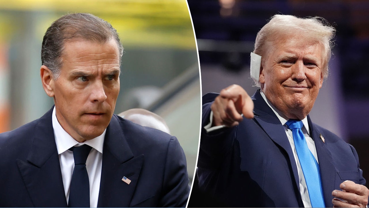 Hunter Biden could mount a successful White House bid given recent ...