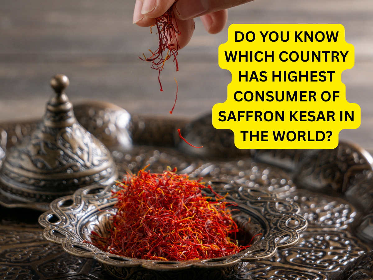 Do you know which country is the highest saffron (kesar) consumer in ...