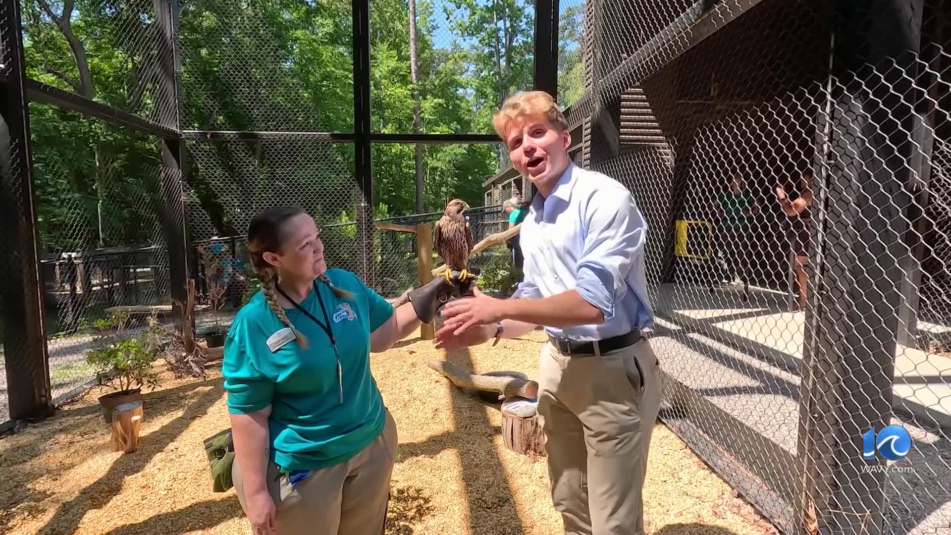 Behind the scenes tour as Virginia Living Museum celebrates 60th ...
