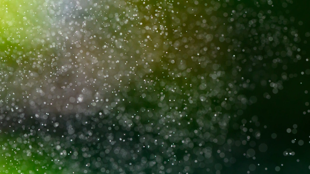 10 common allergens and how to manage them