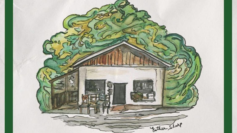 Green Cove Collective aims to reopen store after Helene damage