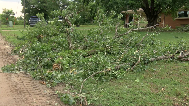 Storms snap tree limbs in Sumner County, causing roof damage