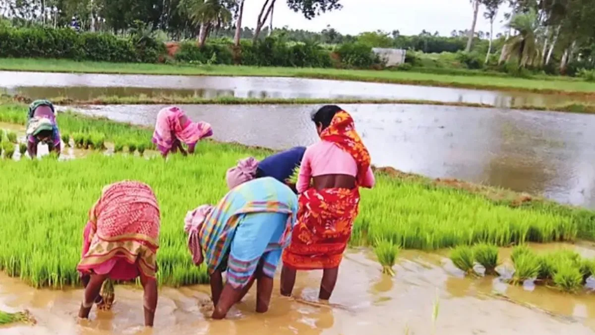 Super El Niño effect hits home: Bengal’s villages face early climate ...