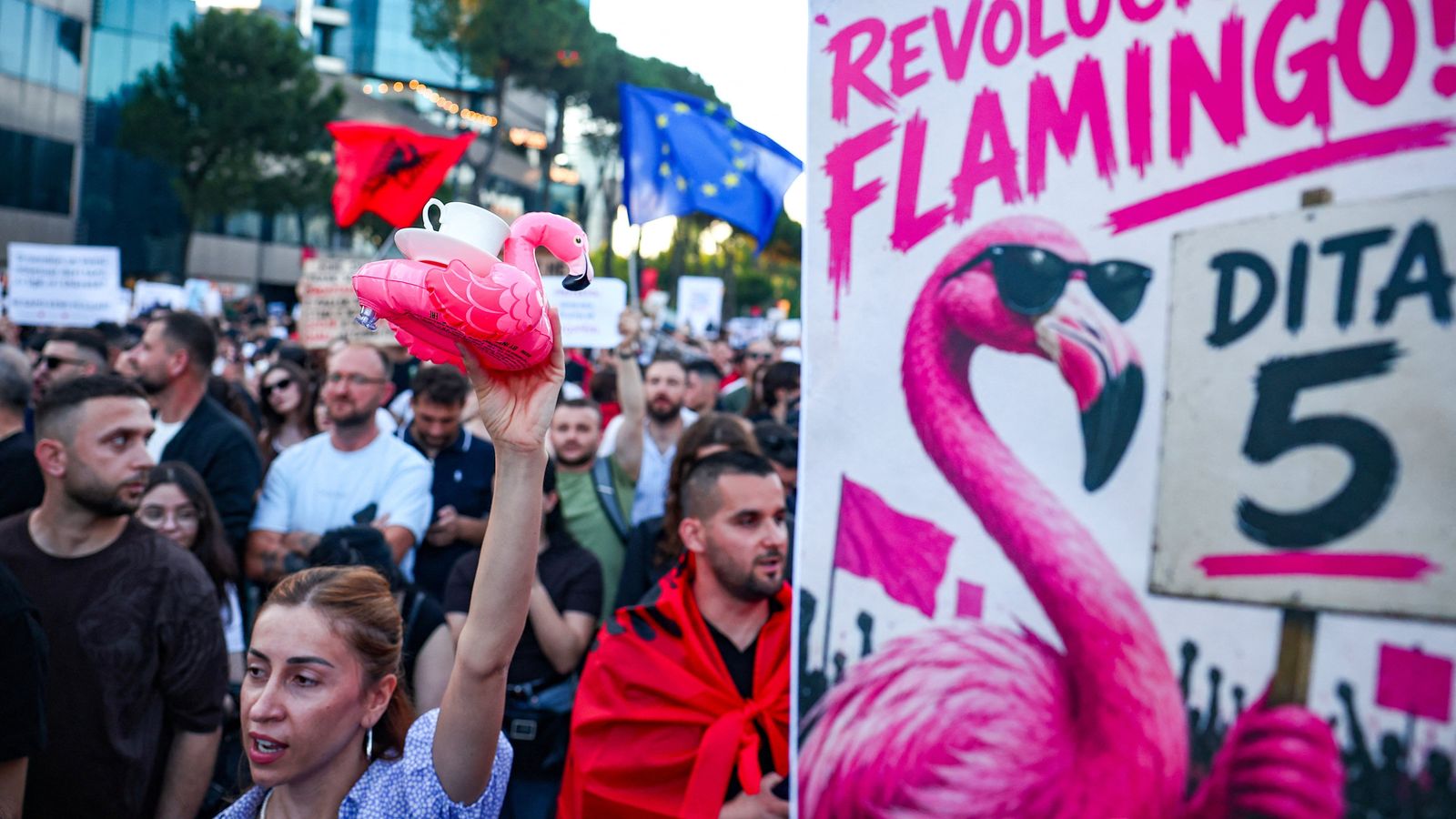 Jared Kushner vs the flamingos - Albanians protest against luxury ...