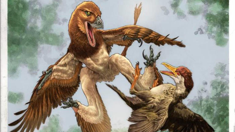 New Velociraptor cousin was a '4-winged' dragon that hunted prey from ...
