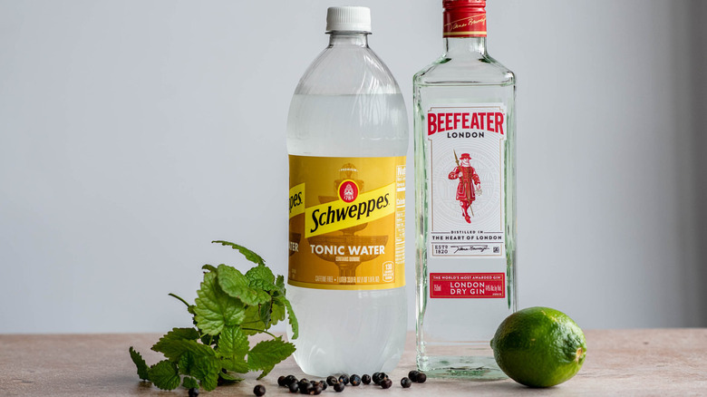 Bold gin and tonic cocktail recipe