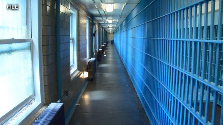Hochul nominee for prison task force is clemency recipient