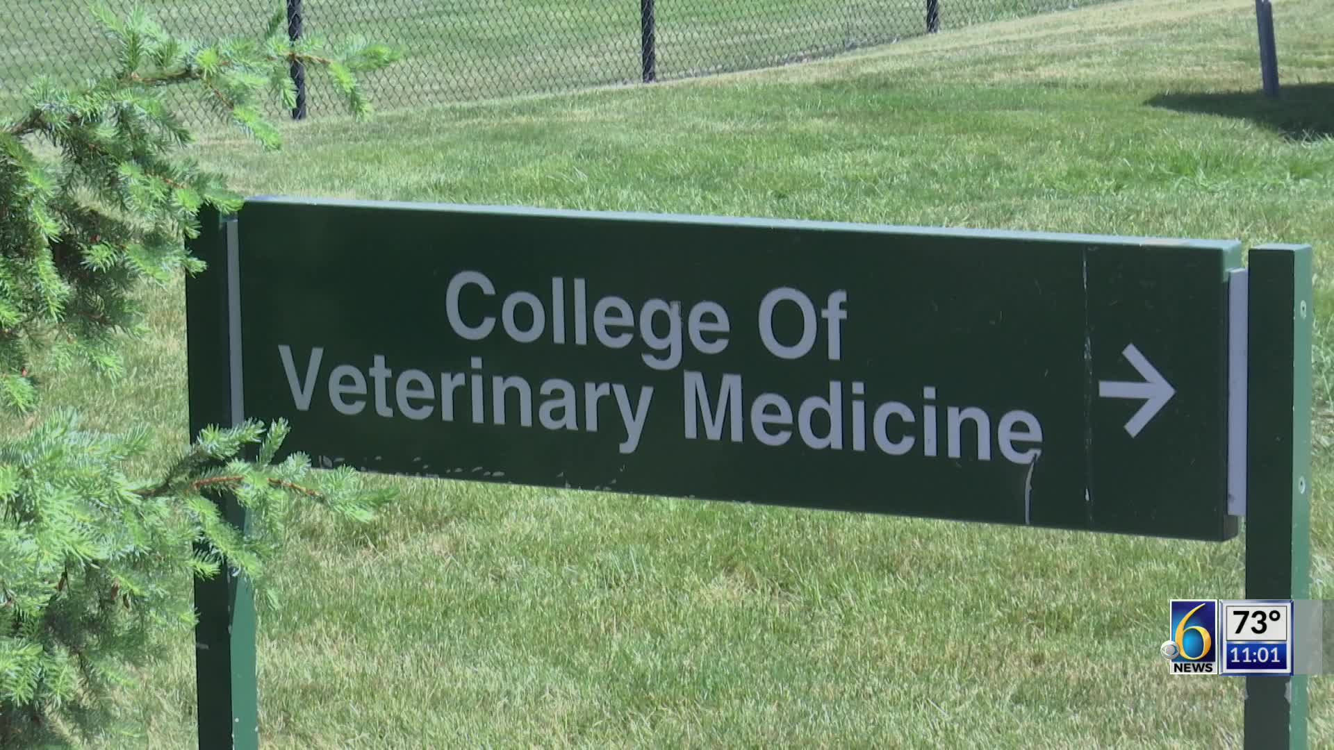 'Animal health is human health': MSU launches new mobile veterinary unit