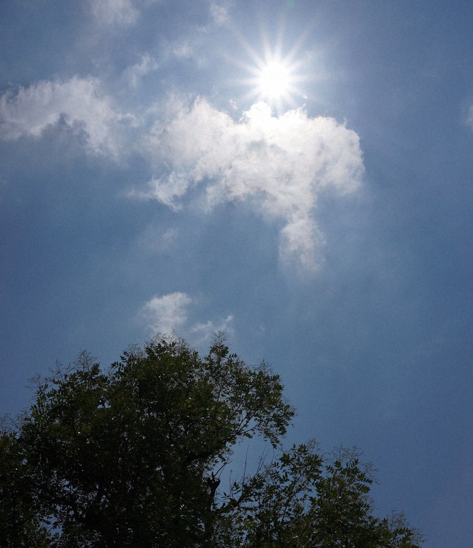 Japan school restrictions on hydration, cooling items affect 1 in 4 ...