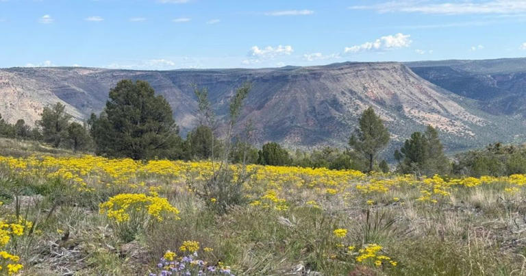 This hidden Arizona spot still draws visitors