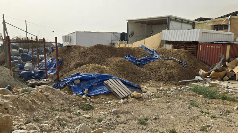Superdrug removes skincare brand amid concerns over Israeli settlement ...