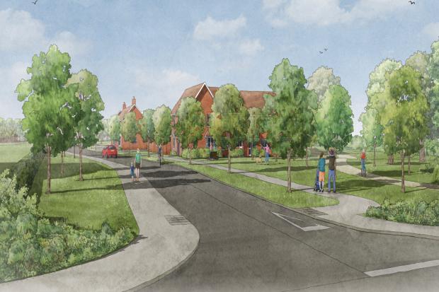 Developer speaks after council backs 200-home plan in New Forest ...