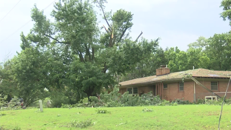 Storms snap tree limbs in Sumner County, causing roof damage