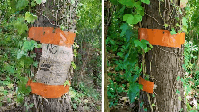 York park where encampment was dismantled reopens as outreach grapples ...