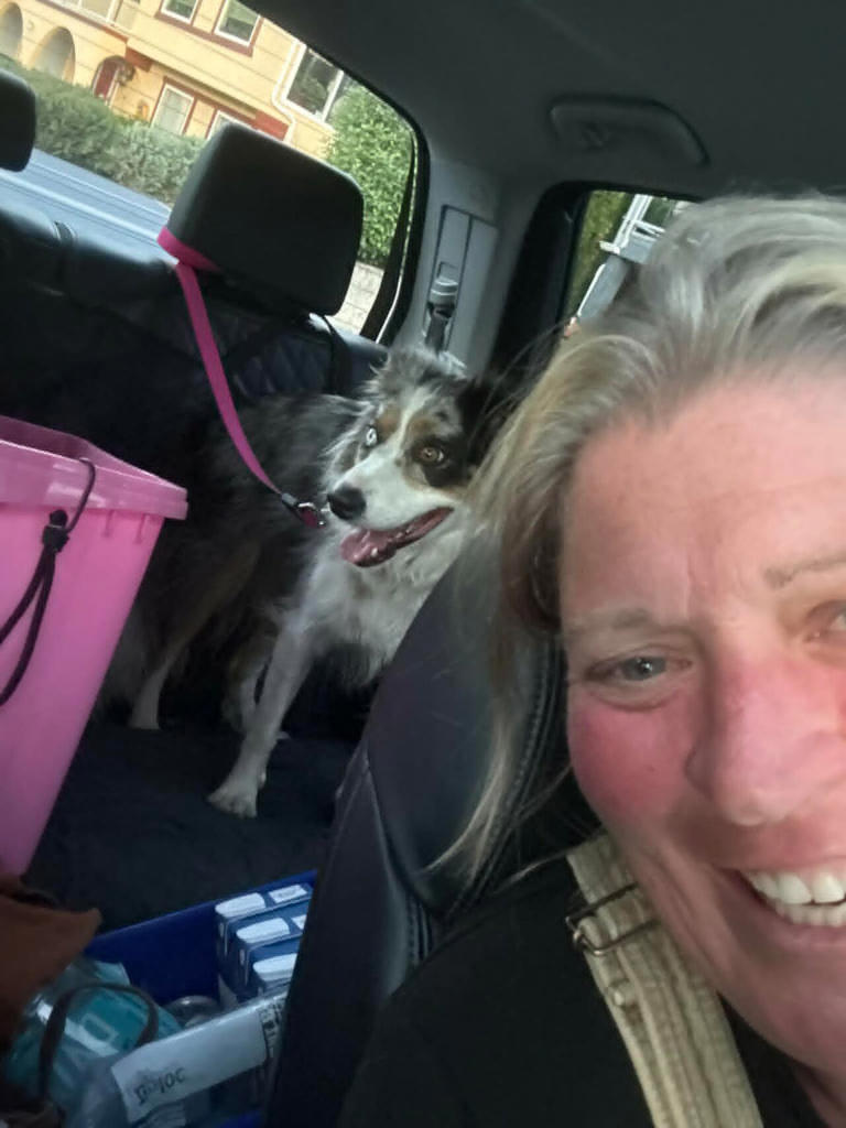 ‘We need one more miracle’: Kelowna dog safe at home after surviving ...
