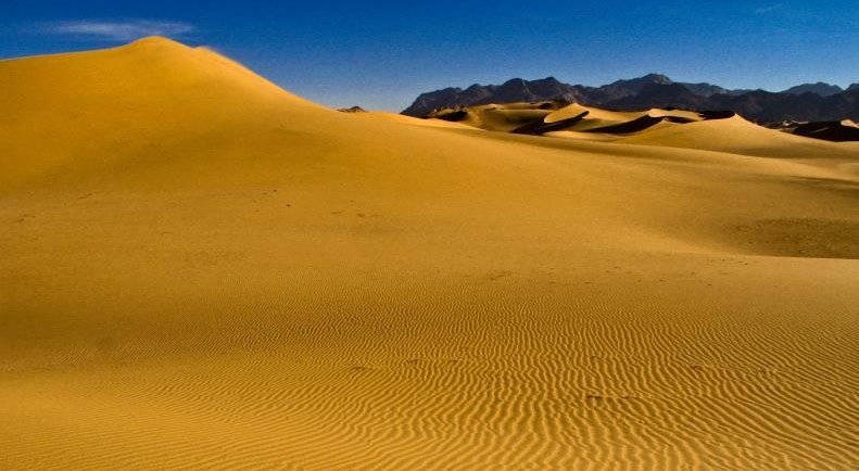 Quarenta e nove nigerianos morreram de sede após avaria no deserto