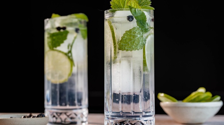 Bold gin and tonic cocktail recipe