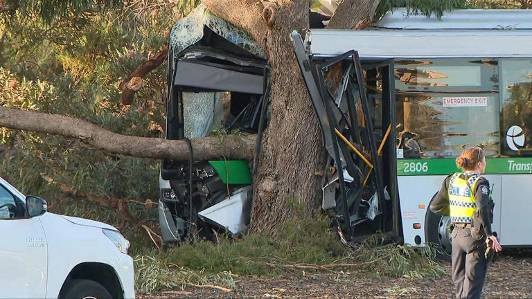 Man dies after bus crashes into tree