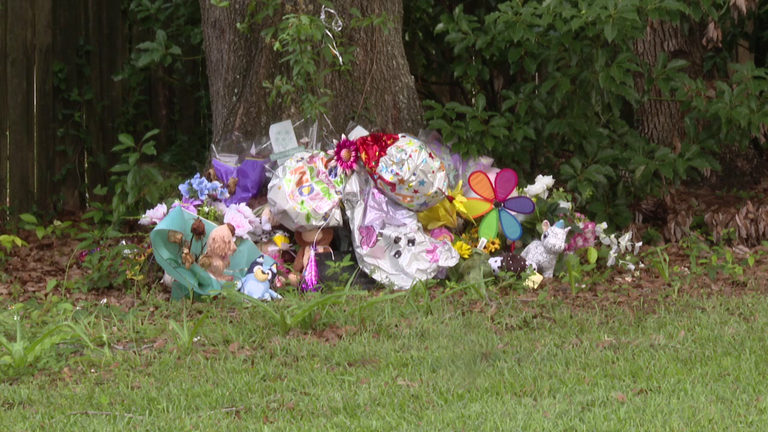 Plant City quadruple murder: Guns, blood swabs among evidence seized ...